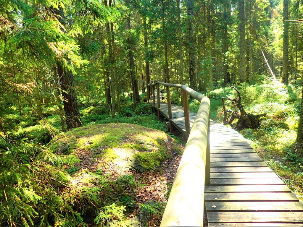 Kaltene stone ridges - KURZEMES PLĀNOŠANAS REĢIONS