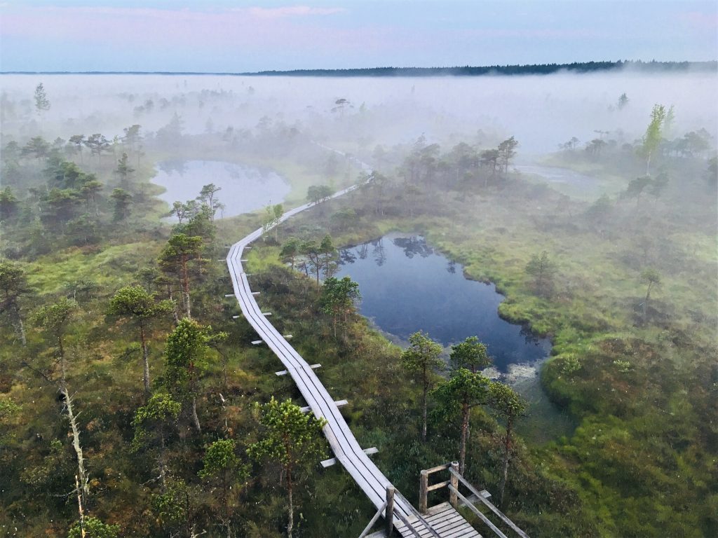 Lielā Ķemeru tīreļa purva laipa - KURZEMES PLĀNOŠANAS REĢIONS