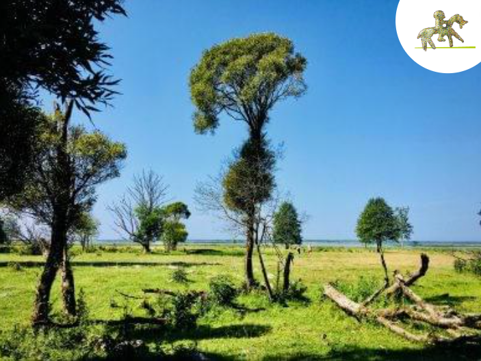 Papes ezera taka - KURZEMES PLĀNOŠANAS REĢIONS