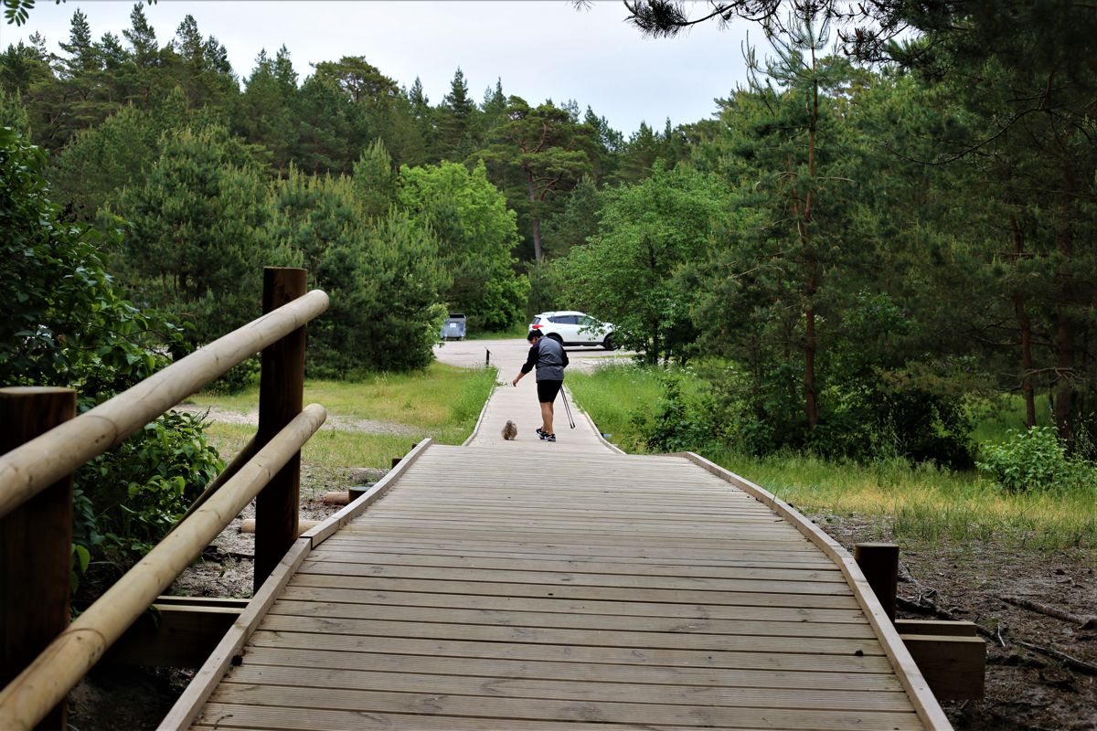 Bernāti beach boardwalk - KURZEMES PLĀNOŠANAS REĢIONS